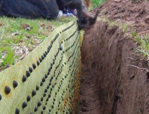 Typar BioBarrier Root Fabric 12 inch x 100 ft – Boddingtons Online